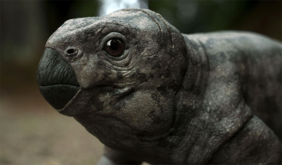 INTERVIEW: The VFX And Animation Of "Surviving Earth" NBC's New Summer ...